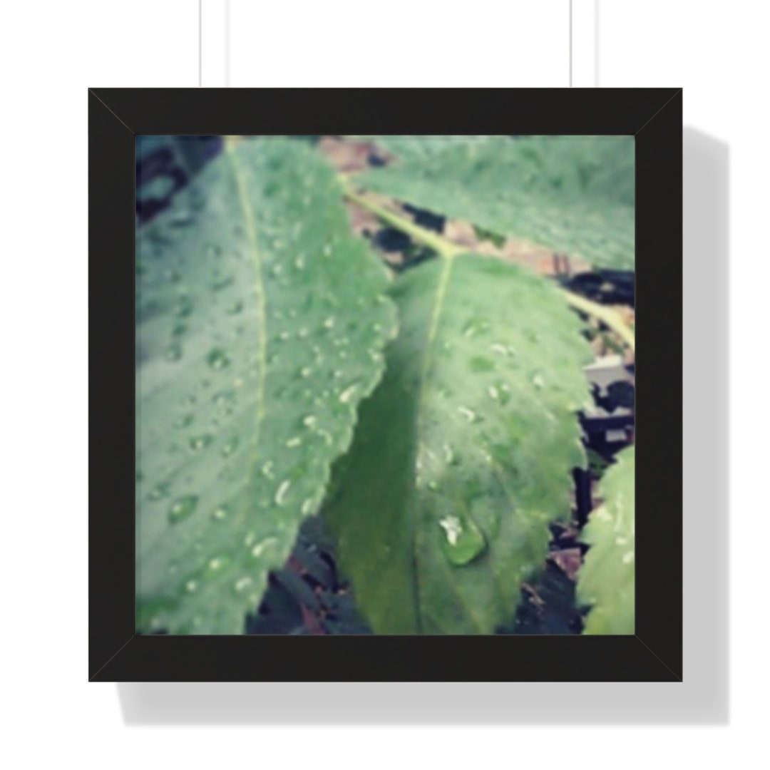 Original Nature Photography - Framed Vertical Poster - Wall Art - Etsy