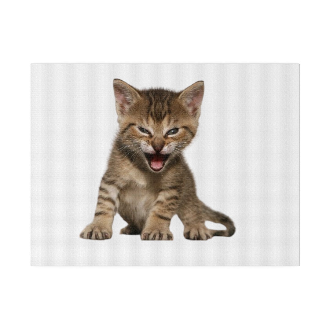 Diamond Hands Roaring Kitty Canvas Print Matte Finish, Stretched, 0.75 ...