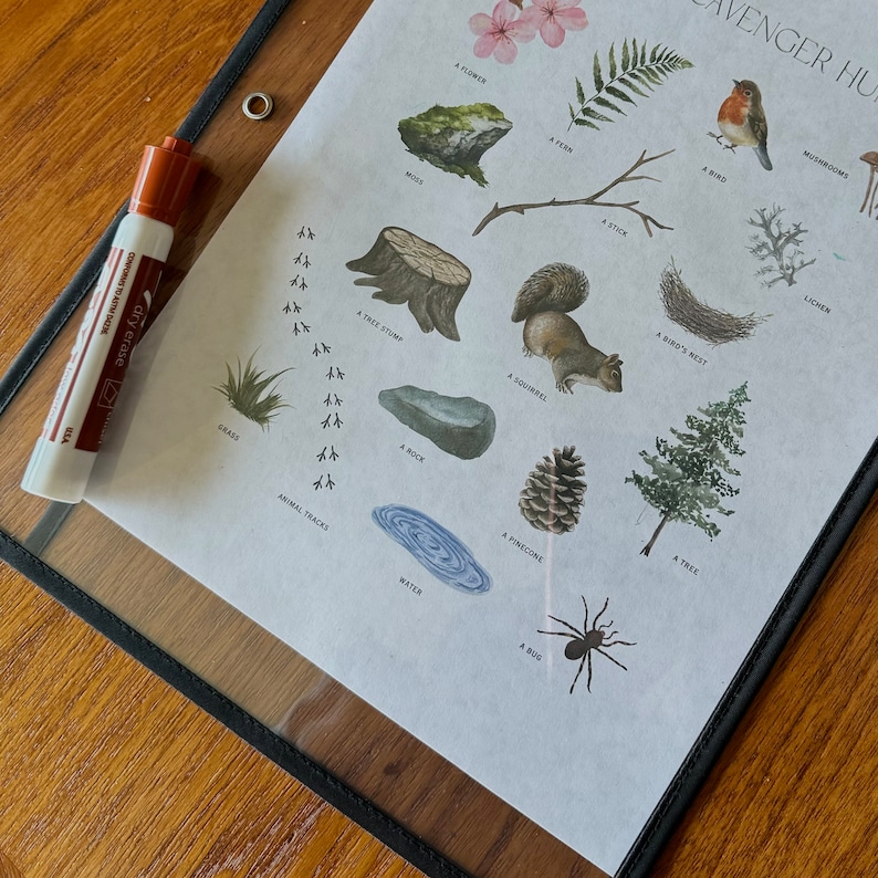 Forest Scavenger Hunt Printable - Etsy