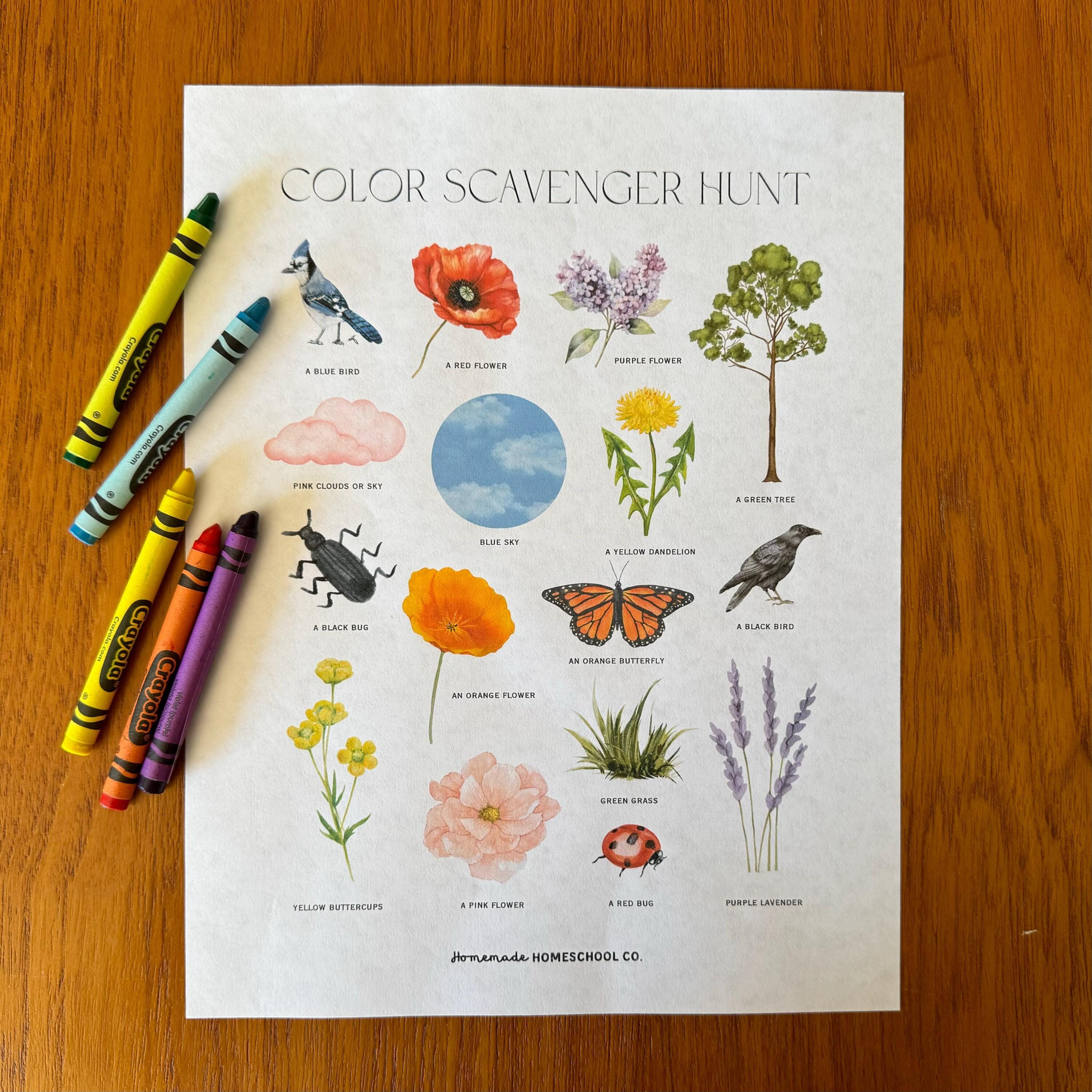 Color Scavenger Hunt Printable - Etsy