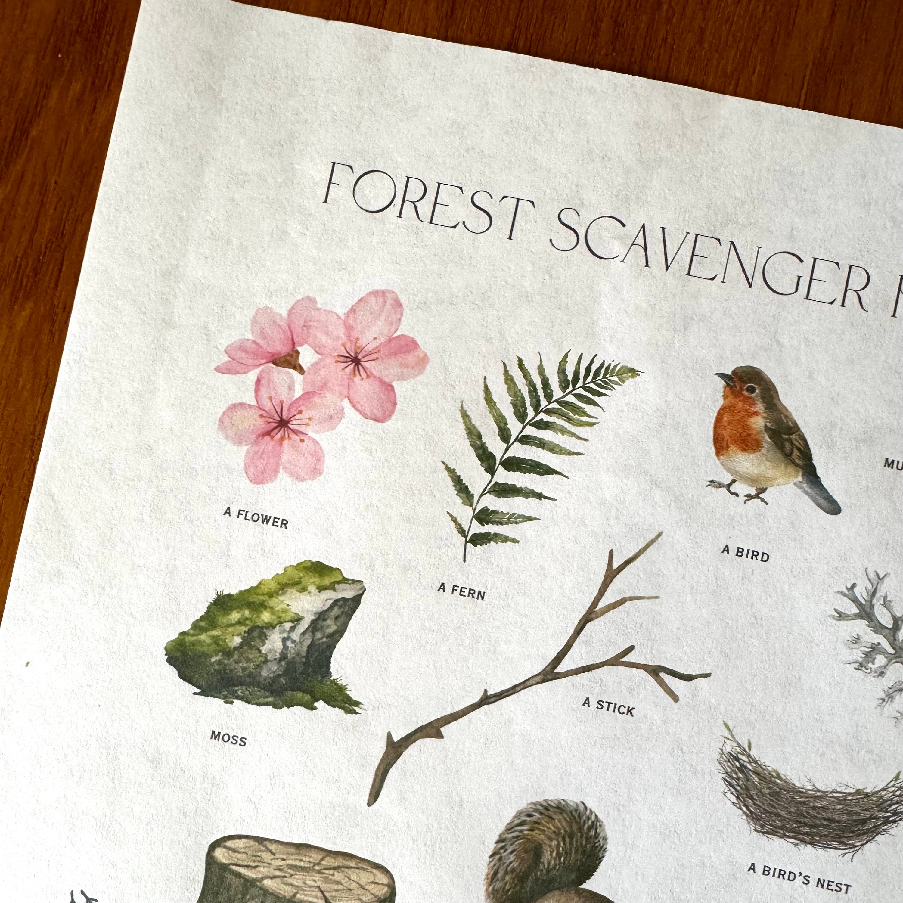 Forest Scavenger Hunt Printable - Etsy