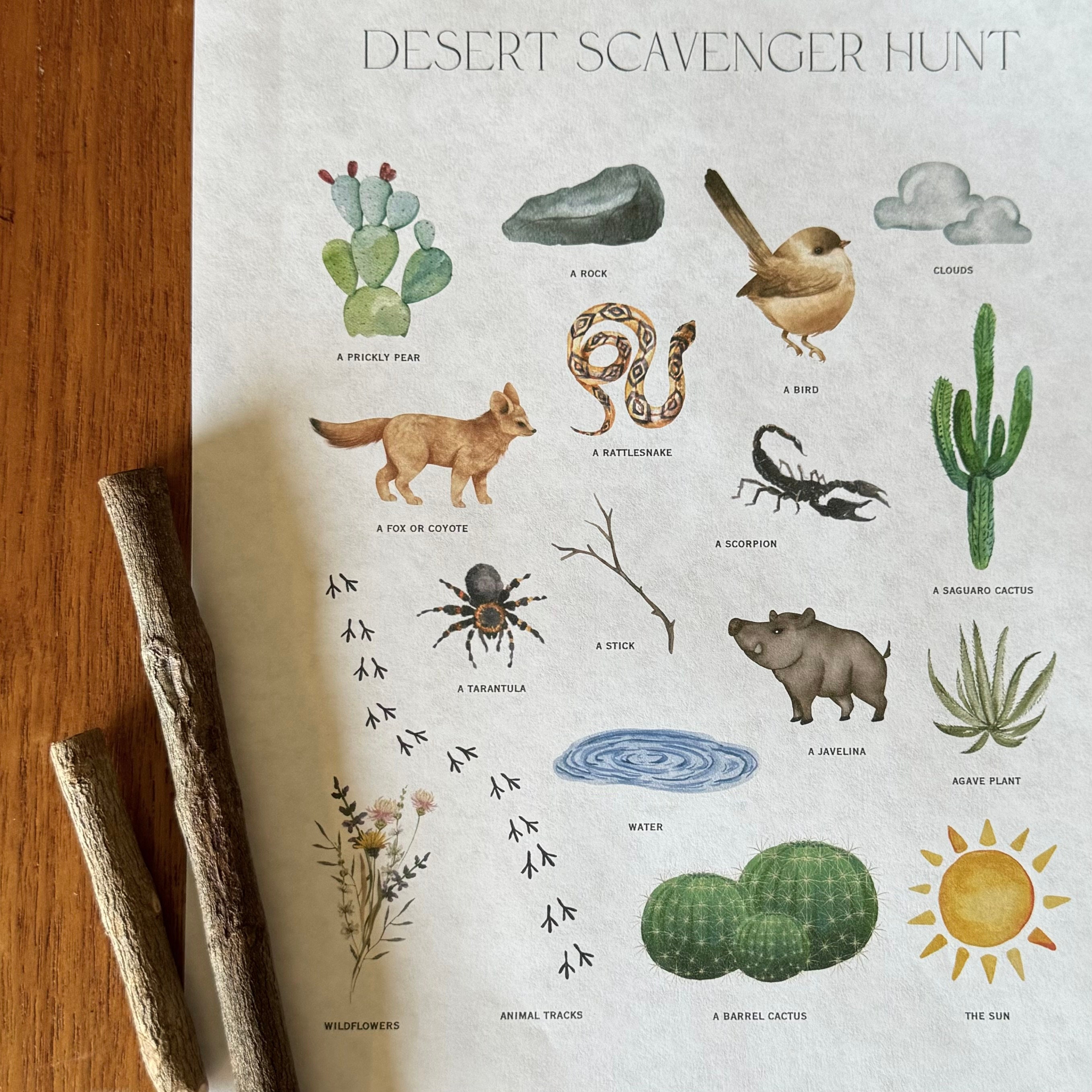 Desert Scavenger Hunt Printable - Etsy