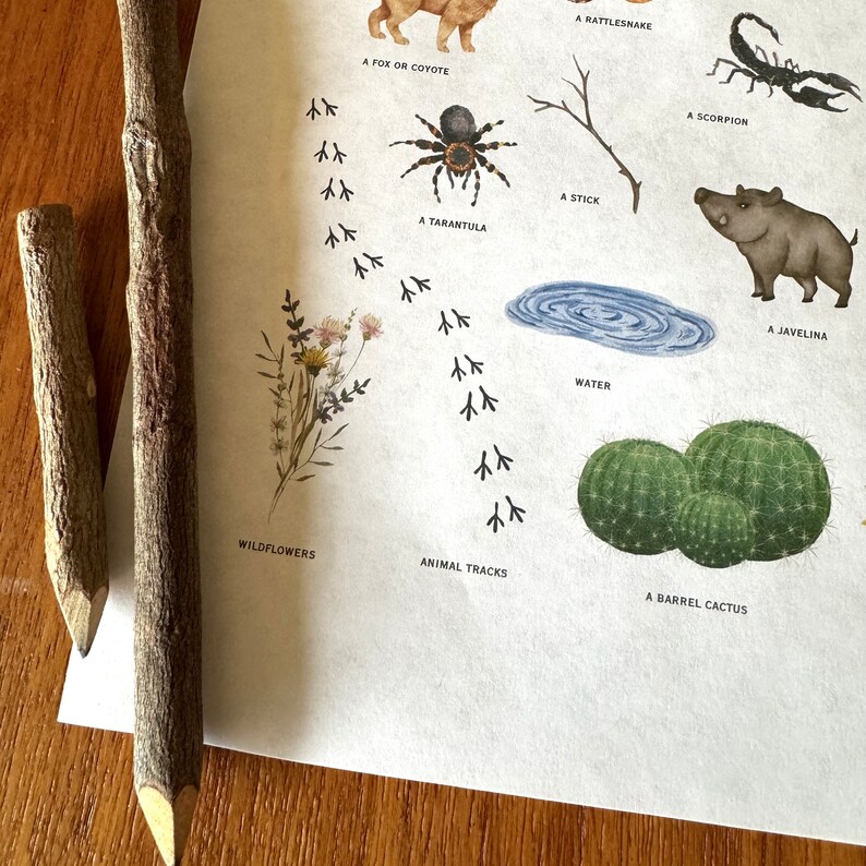 Desert Scavenger Hunt Printable - Etsy