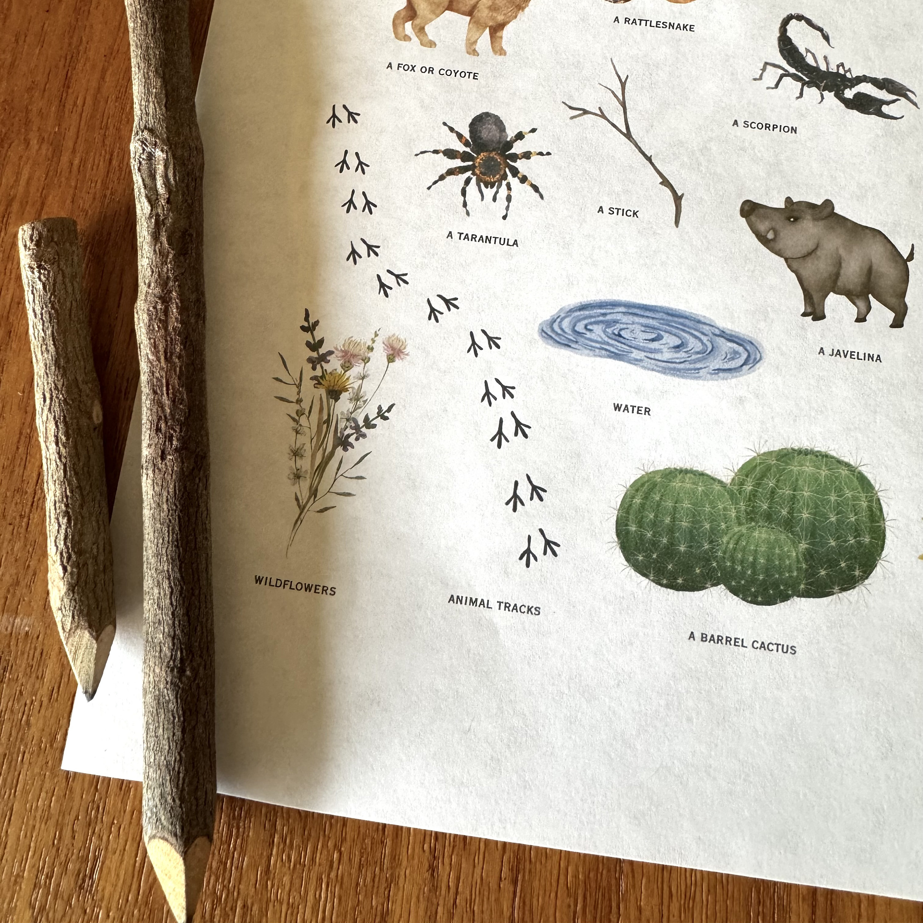 Desert Scavenger Hunt Printable - Etsy