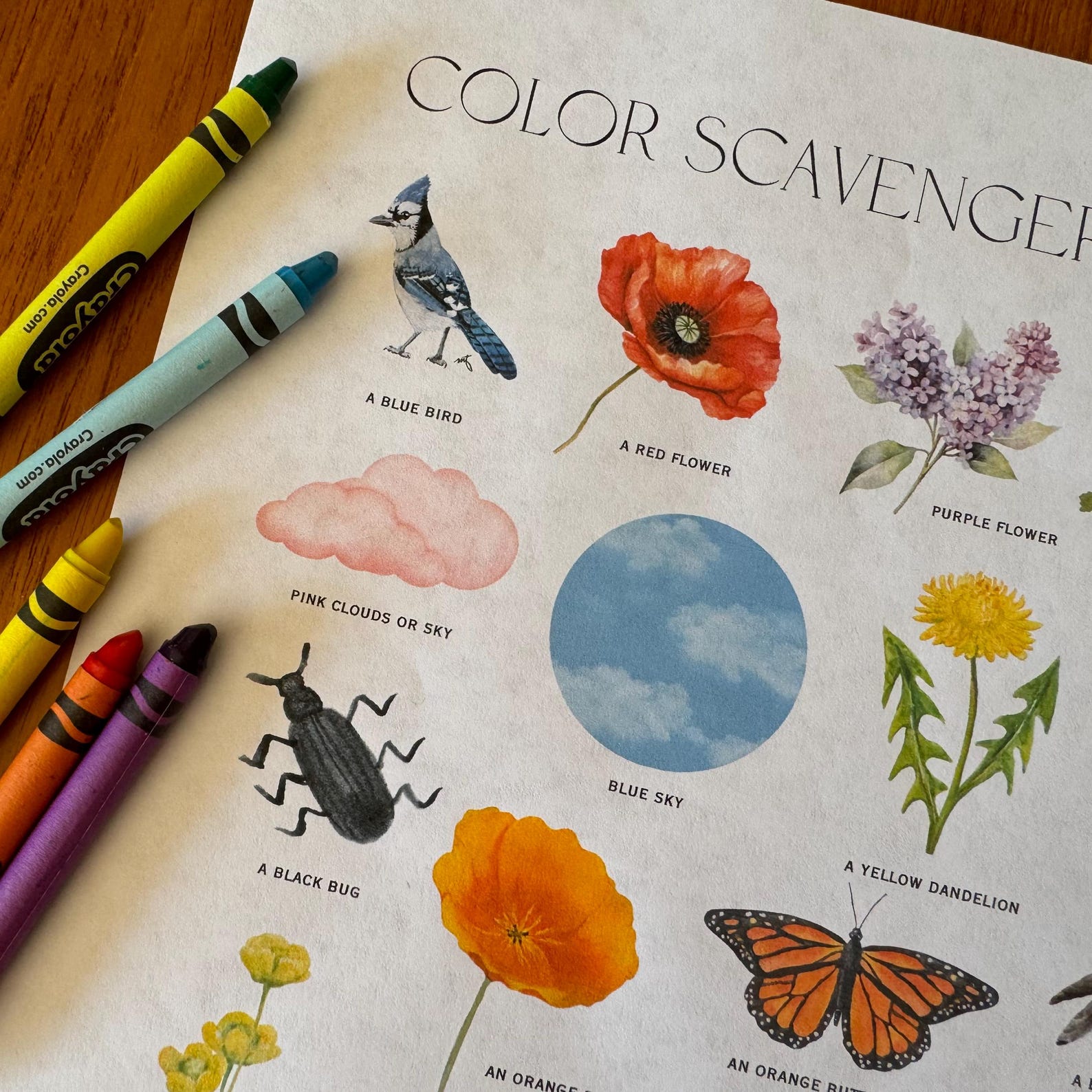 Color Scavenger Hunt Printable - Etsy