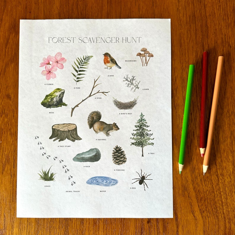 Forest Scavenger Hunt Printable - Etsy