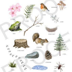 Forest Scavenger Hunt Printable - Etsy