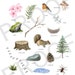 Forest Scavenger Hunt Printable - Etsy