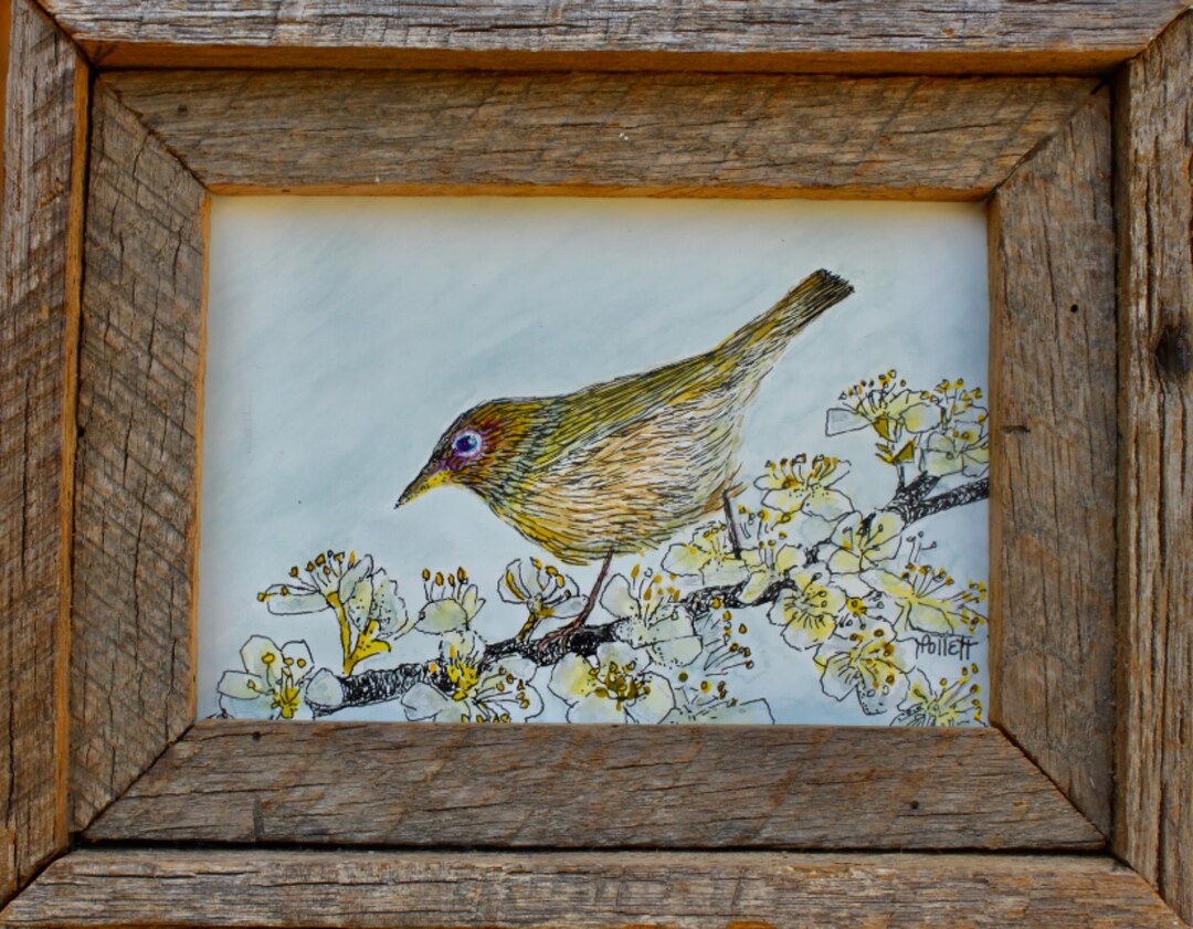 Spring Sparrow, Pen and Ink, and Watercolor Mixed Media Drawing - Etsy