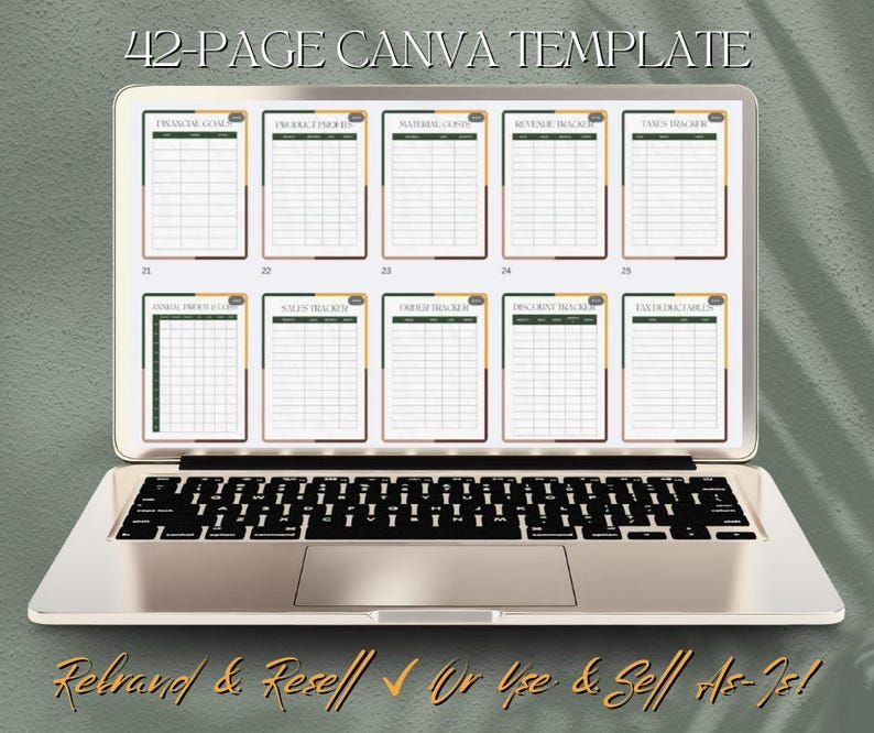 Money Tracker Canva Template PLR Digital Planner MRR Printable Template ...
