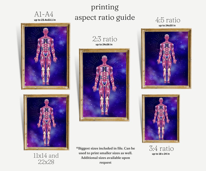 Space Anatomy Art Print Set | Aesthetic Full Body Posterior and ...