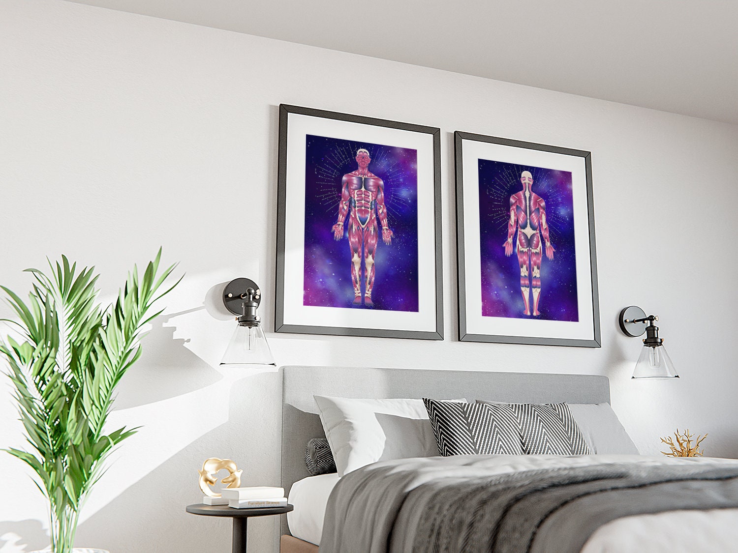 Space Anatomy Art Print Set | Aesthetic Full Body Posterior and ...