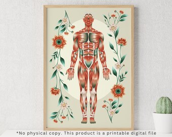 Space Anatomy Art Print Set Aesthetic Full Body Posterior and Anterior ...