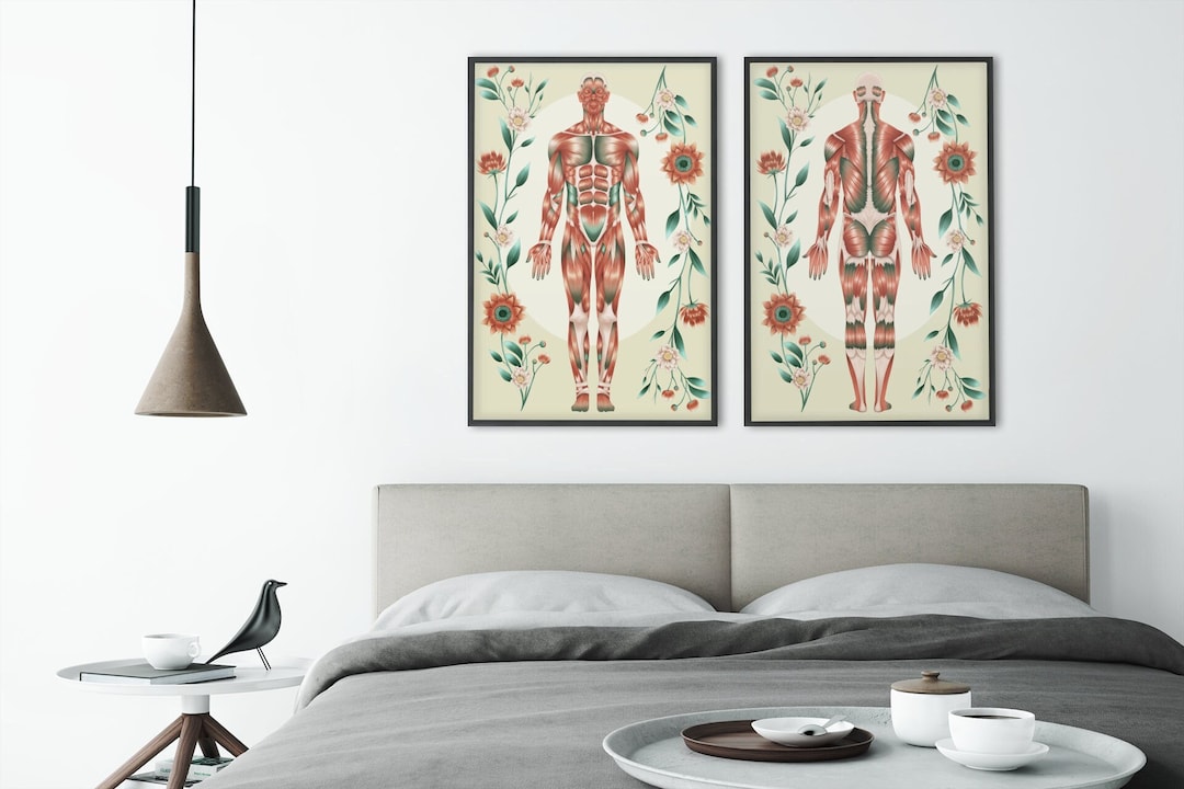 Printable Anatomy Botanical Art Print Set | Aesthetic Full Body ...