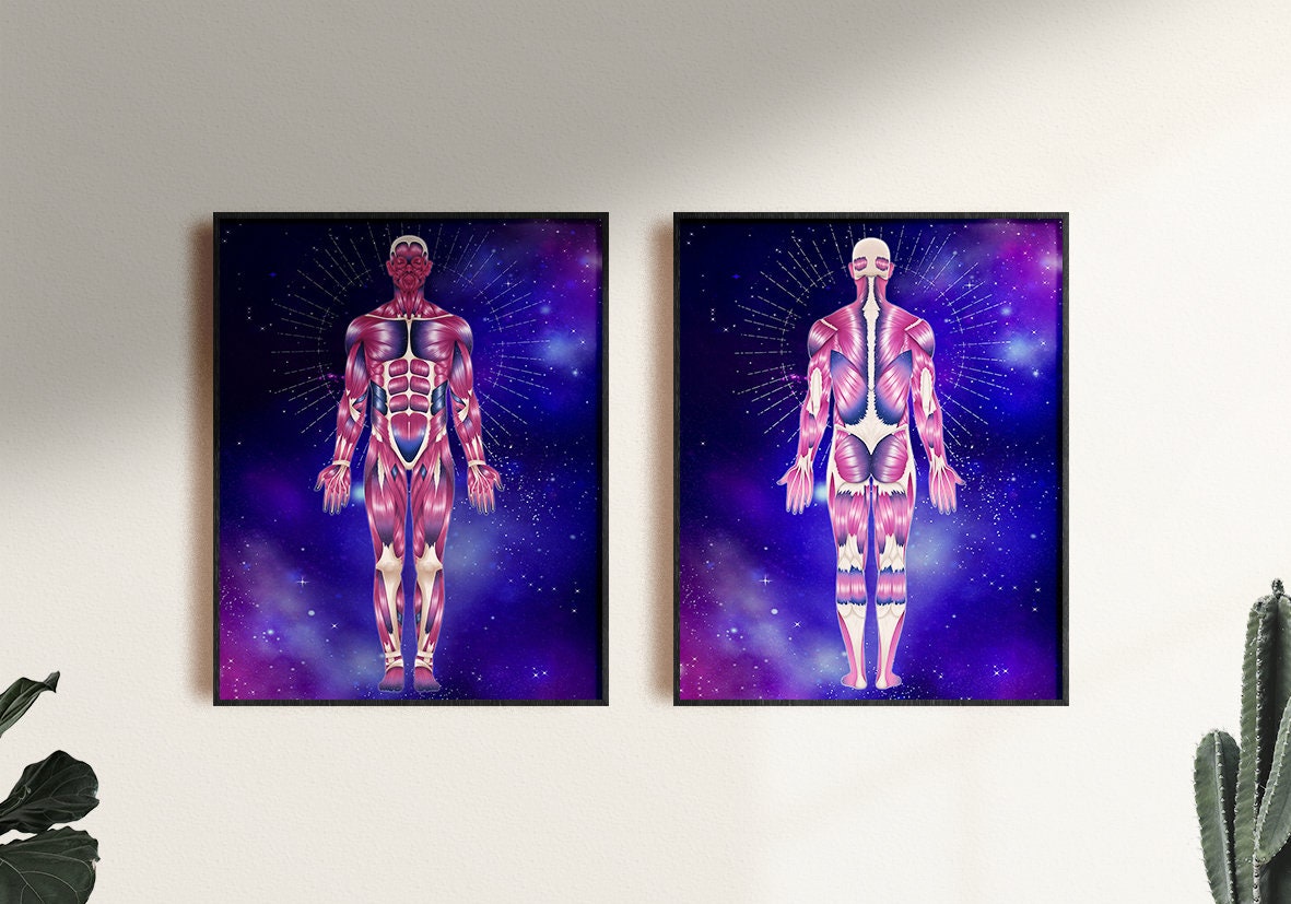 Space Anatomy Art Print Set | Aesthetic Full Body Posterior and ...