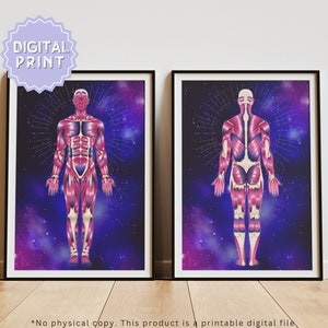Space Anatomy Art Print Set | Aesthetic Full Body Posterior and ...