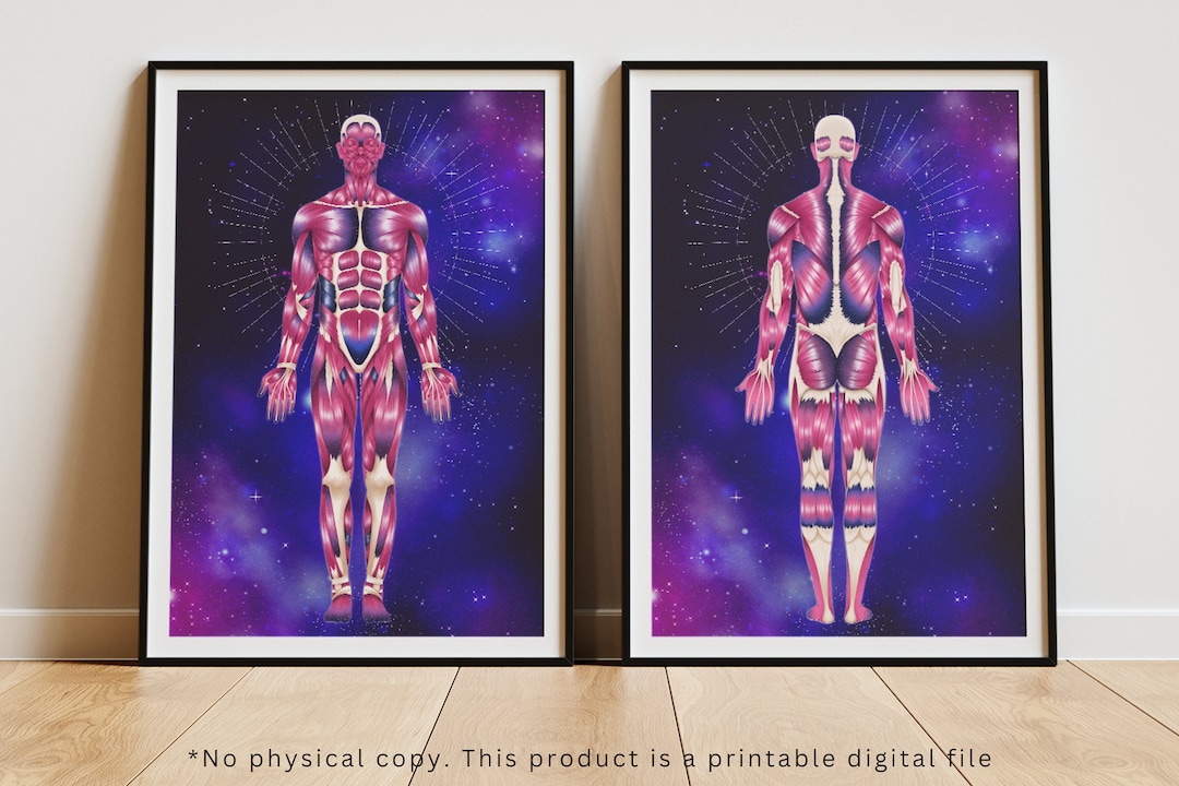 Space Anatomy Art Print Set Aesthetic Full Body Posterior and Anterior ...