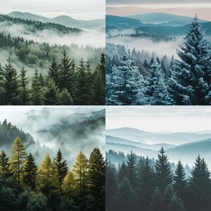 46 Misty Forest Landscape Clipart, Mountain Pine Trees Digital Art ...