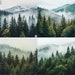 46 Misty Forest Landscape Clipart, Mountain Pine Trees Digital Art ...