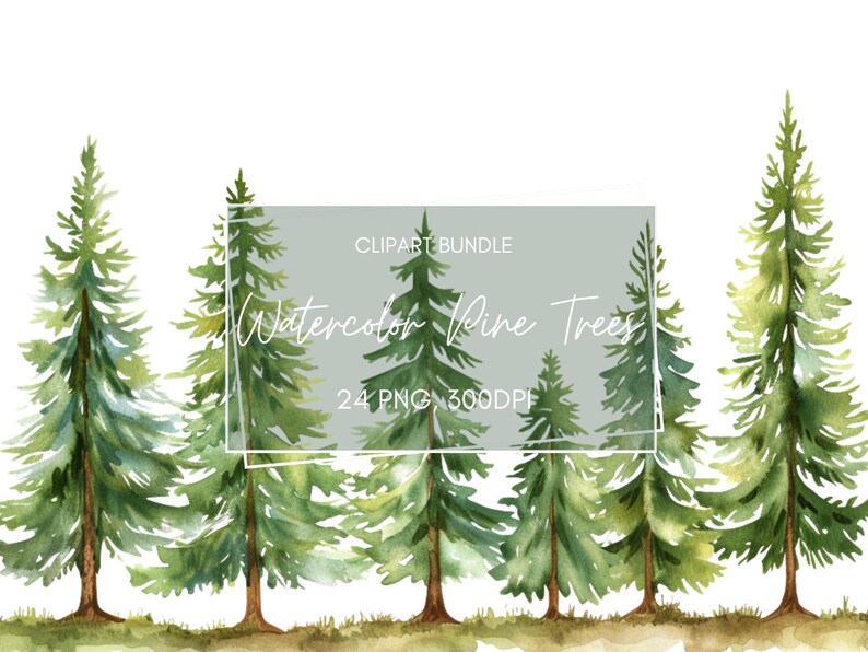 24 Watercolor Pine Trees, Transparent, Trees Clipart, Watercolor Forest ...