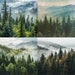 46 Misty Forest Landscape Clipart, Mountain Pine Trees Digital Art ...