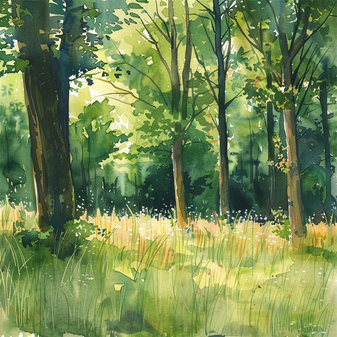 24 Watercolor Forest Clipart, Digital Download, Nature Illustration ...