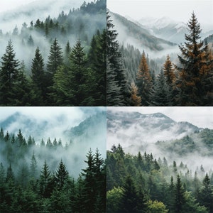 46 Misty Forest Landscape Clipart, Mountain Pine Trees Digital Art ...