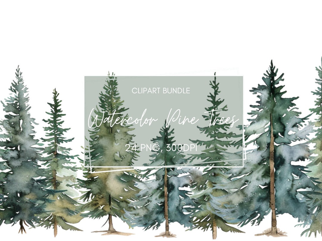 24 Watercolor Pine Trees, Transparent, Trees Clipart, Watercolor Forest ...