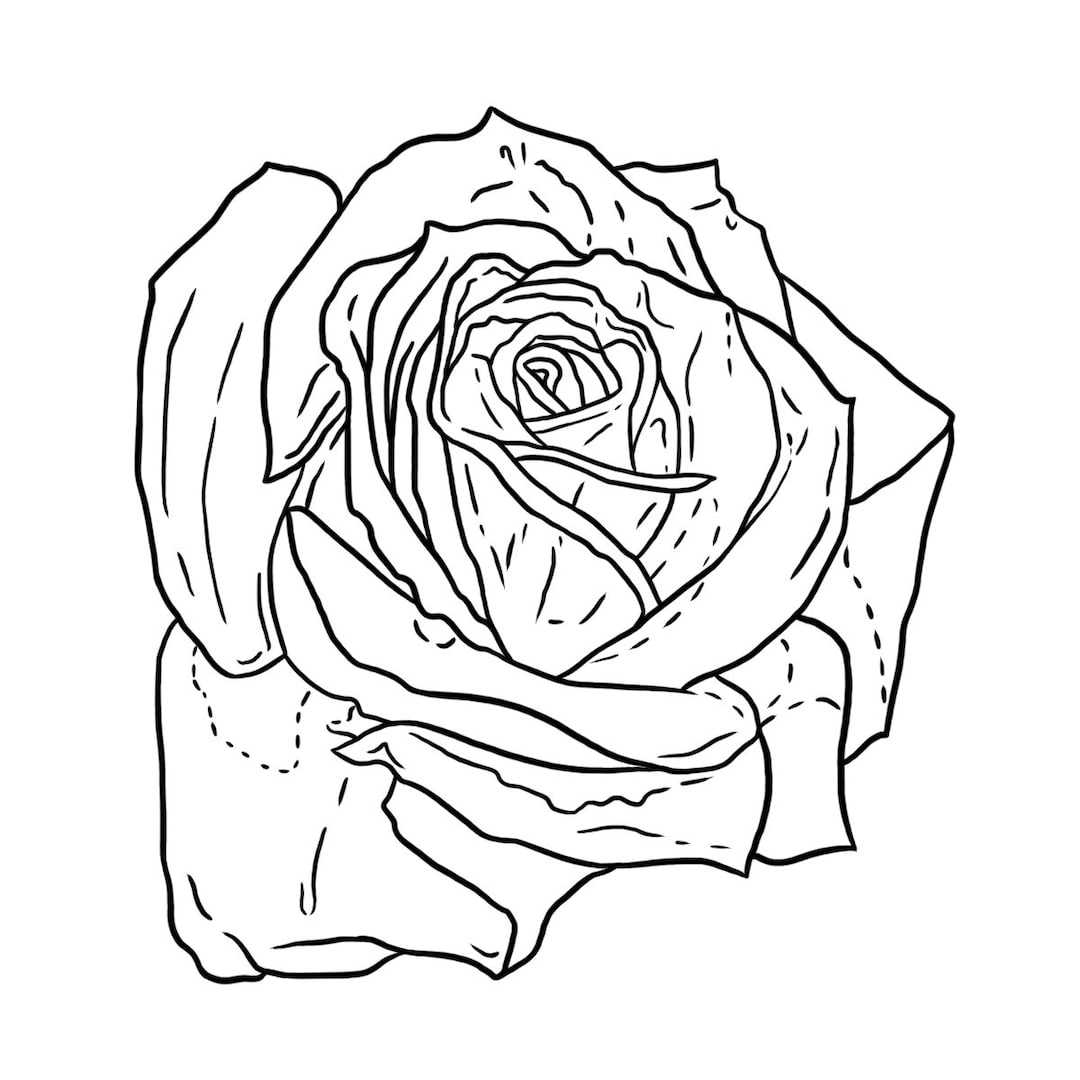 Rose Outline Png - Etsy