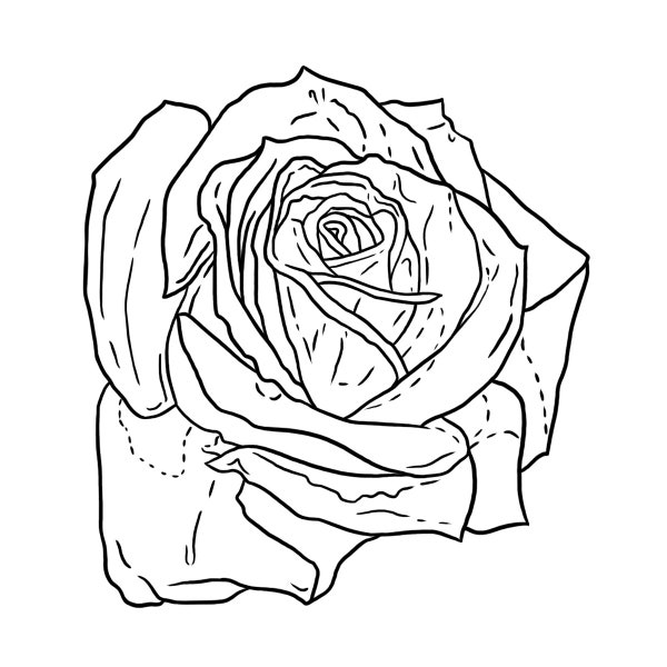 Rose Tattoo Outline - Etsy