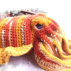Crochet Pattern Realistic Cuttlefish-amigurumi Cuttlefish-stuffed ...