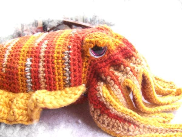 Crochet Pattern Realistic Cuttlefish-amigurumi Cuttlefish-stuffed ...