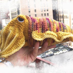 Crochet Pattern Realistic Cuttlefish-amigurumi Cuttlefish-stuffed ...