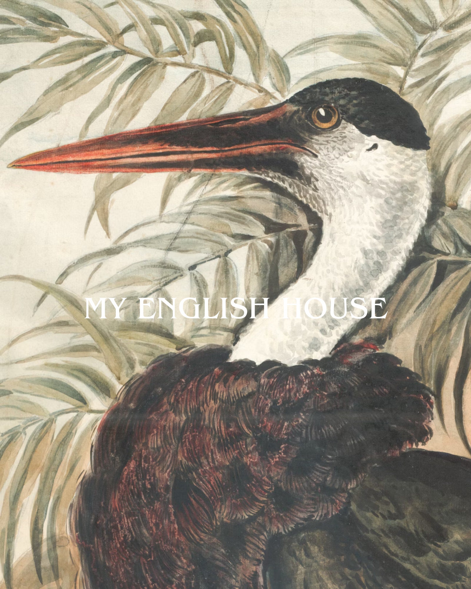 Vintage French Bird Wall Art Bird Oil Painting My English House ...