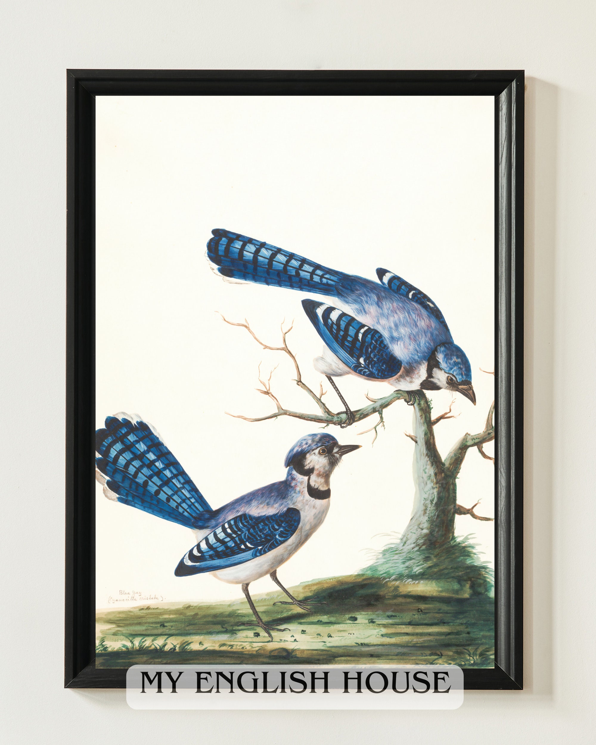 Vintage Blue Pair Birds Wall Art | Muted Blue Birds PRINTABLE Digital ...