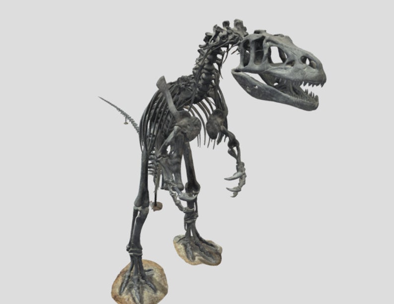 Unearth the Past: 3D Printable Allosaurus Skeleton Model - Etsy
