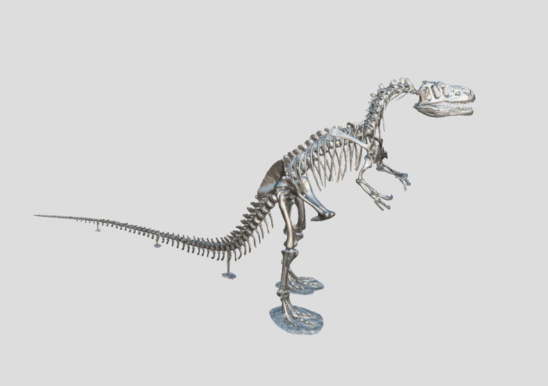 Unearth the Past: 3D Printable Allosaurus Skeleton Model - Etsy