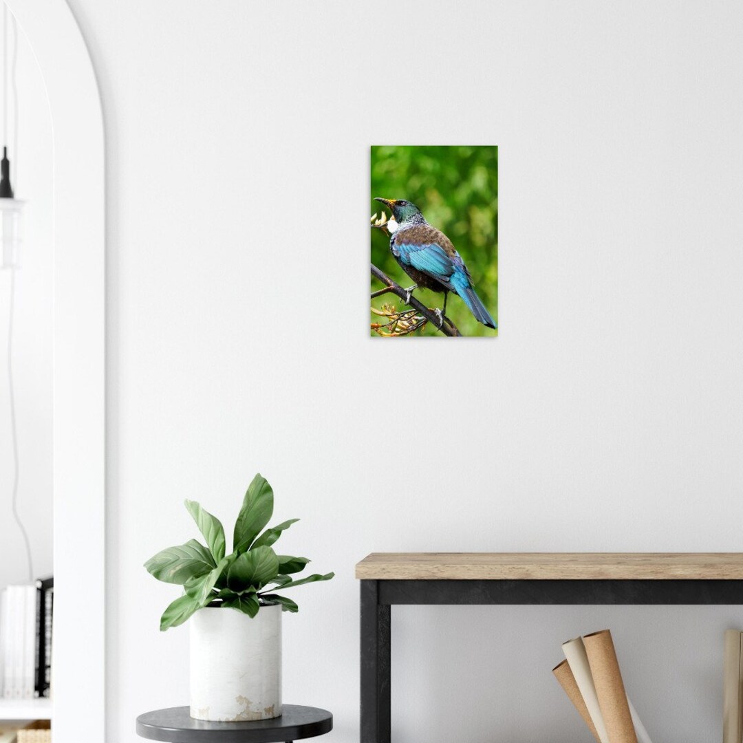 Tui Bird of New Zealand Premium Semi-glossy Paper Poster - Etsy