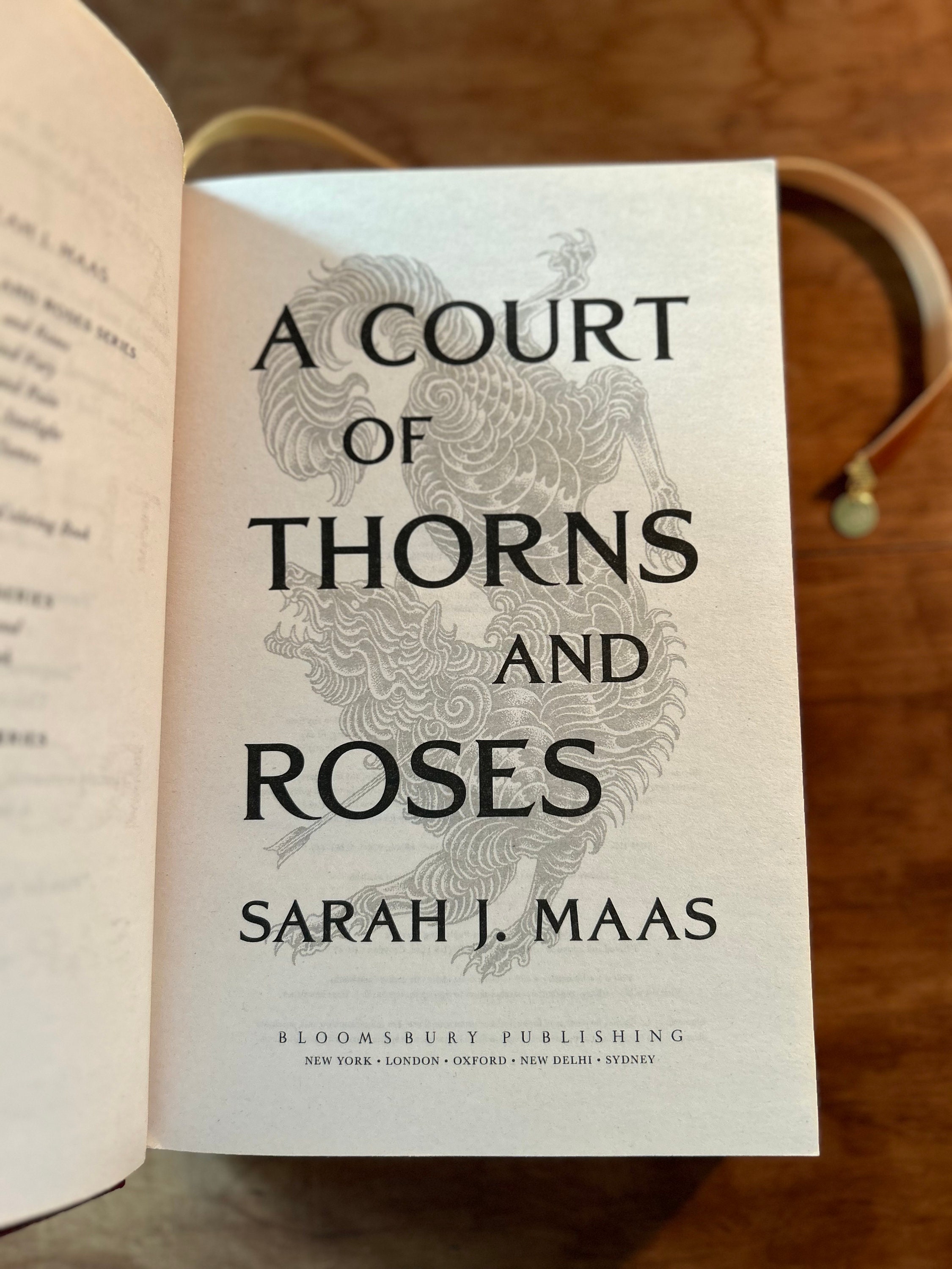 A Court of Thorns and Roses ACOTAR Rebound - Etsy