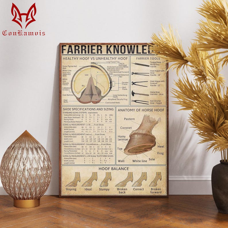 Farrier Knowledge Poster for Horse Hoof Care, Anatomy and Tool Chart ...