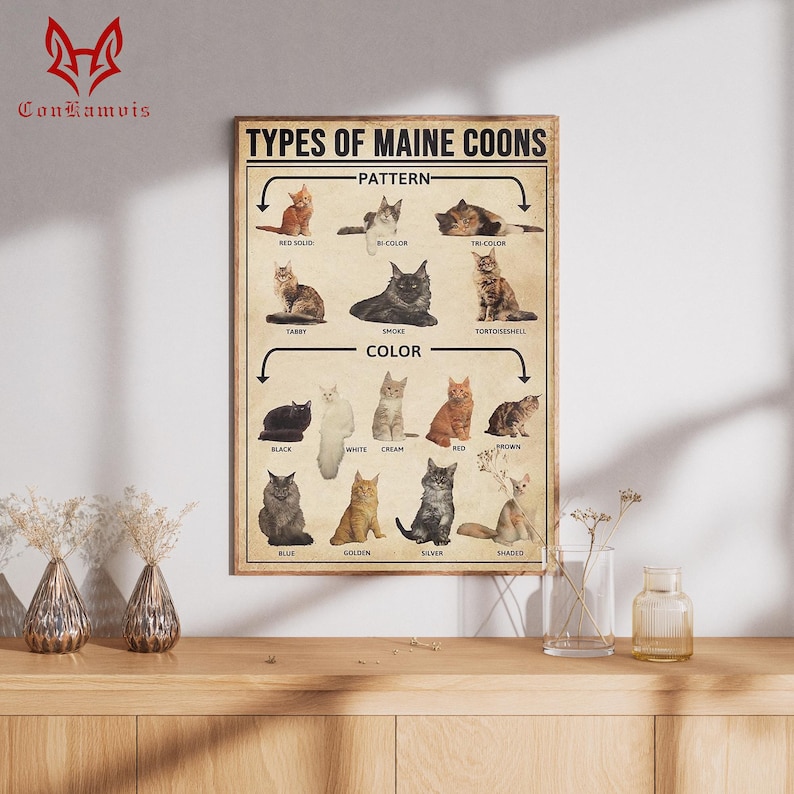 Types of Maine Coons Poster, Maine Coon Cat Color & Pattern Chart Print ...