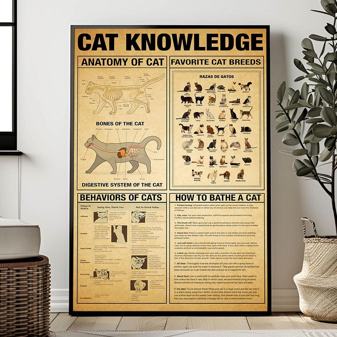 Cat Knowledge Poster, Cat Poster, Cat Art Print, Cat Wall Decor, Funny ...