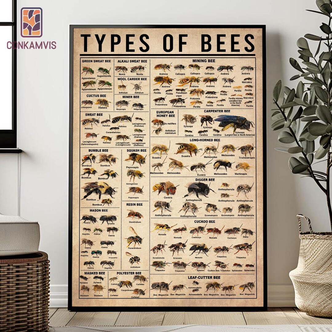 Bee Types Vertical Poster, Types of Bees Poster, Knowledge Poster, Bee ...