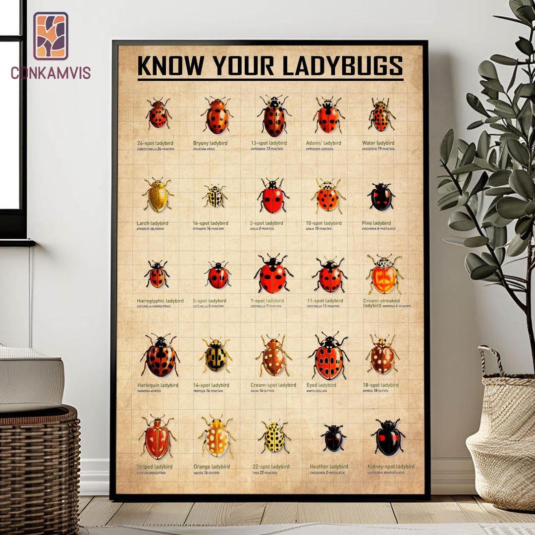 Know Your Ladybugs Poster, Ladybugs Poster, Ladybugs Lover Gift ...