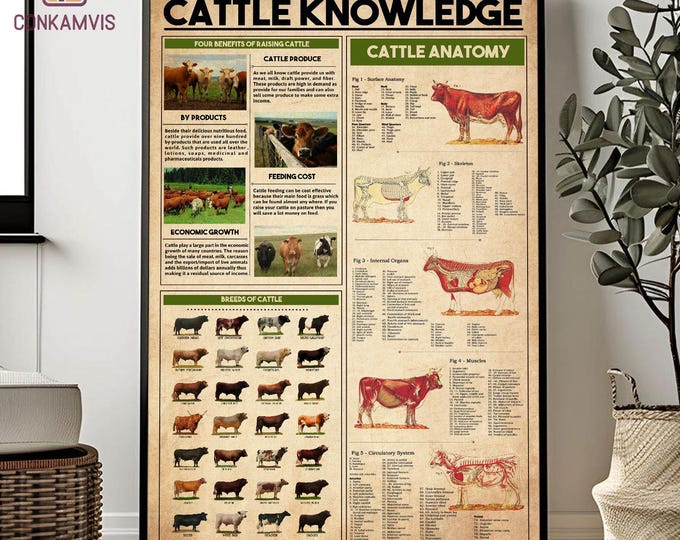 Breeds of Cattle Poster, Types of Cattle, Cattle Knowledge, Vintage ...