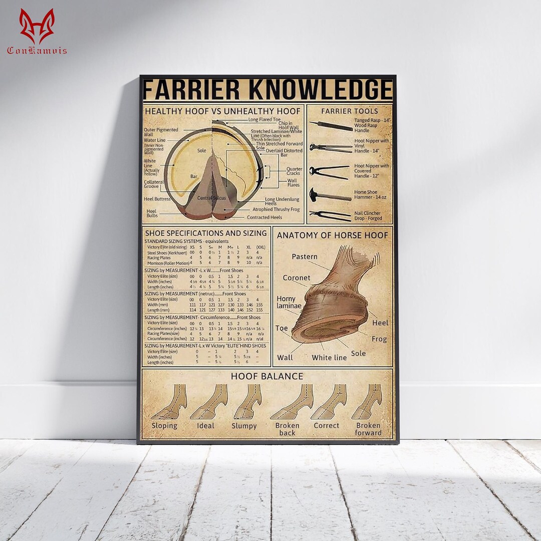 Farrier Knowledge Poster for Horse Hoof Care, Anatomy and Tool Chart ...