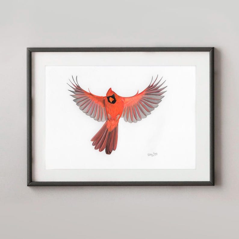 Northern Cardinal in Flight Original Artwork - Etsy