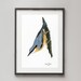 Emperor Penguin Print From Wingspan 8x10 In. - Etsy