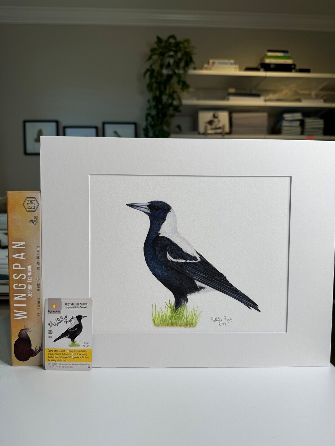 Australian Magpie Print From Wingspan 8x10 In. - Etsy