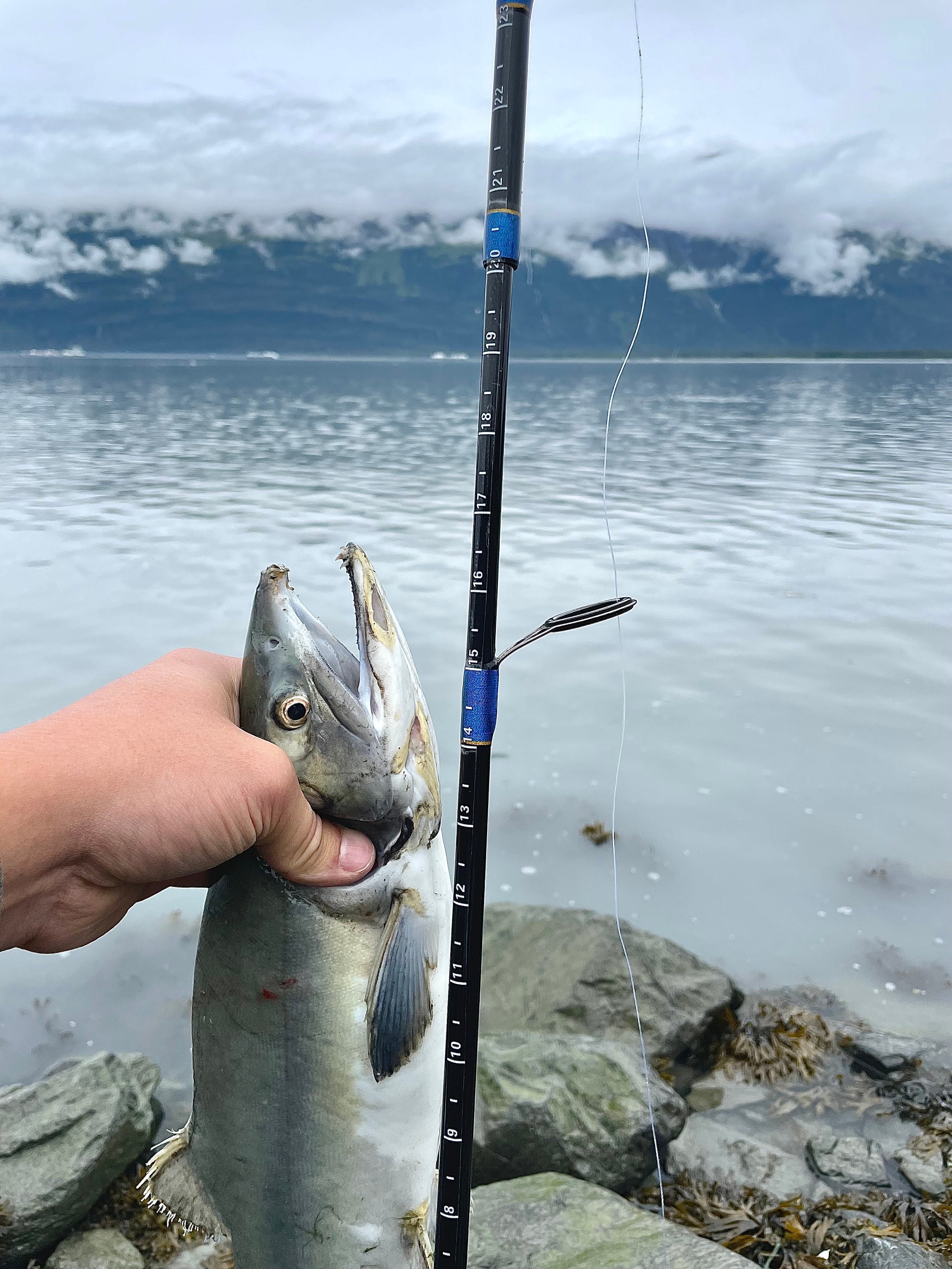 Penko Fishing Fish Ruler Fishing Rod Rulers Decals (2 Pack) Adhesive 38 ...